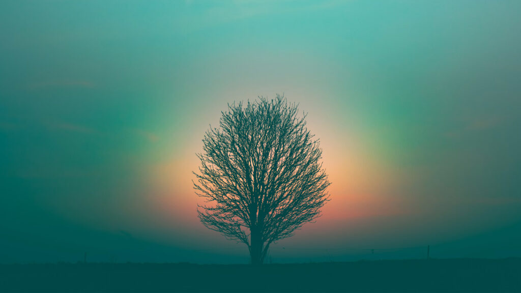 To worship in spirit and truth | Anabaptist World
